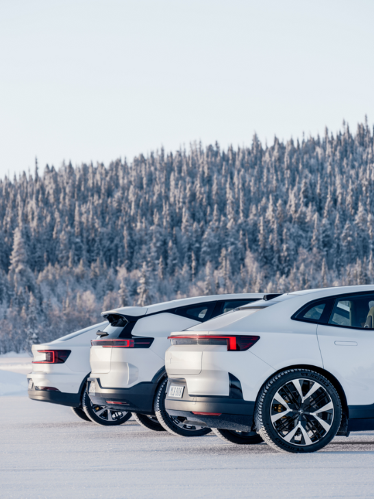 Polestar Händler in Luzern